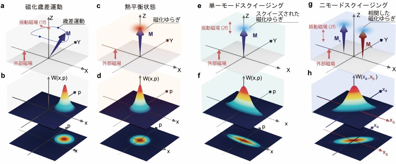 磁石の中の熱ゆらぎを「しぼる」ことに成功：マグノン... | プレスリリース・研究成果 | 東北大学 -TOHOKU UNIVERSITY-